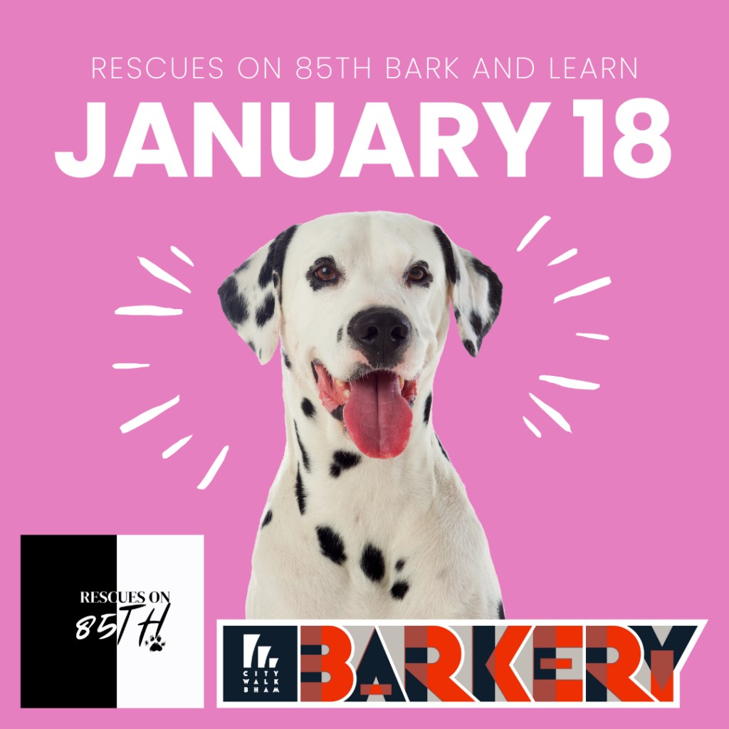 Events - City Walk BHAM